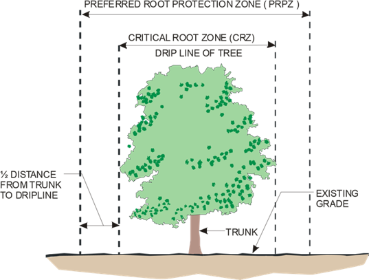 Existing Vegetation and Sensitive Landforms during Construction ...